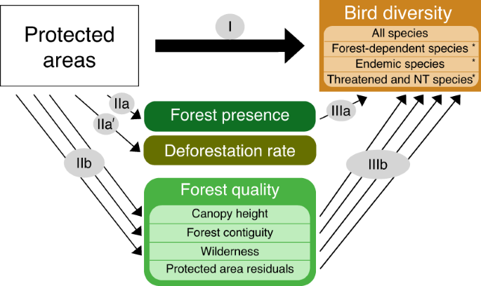 Protected Areas in Preserving Biodiversity