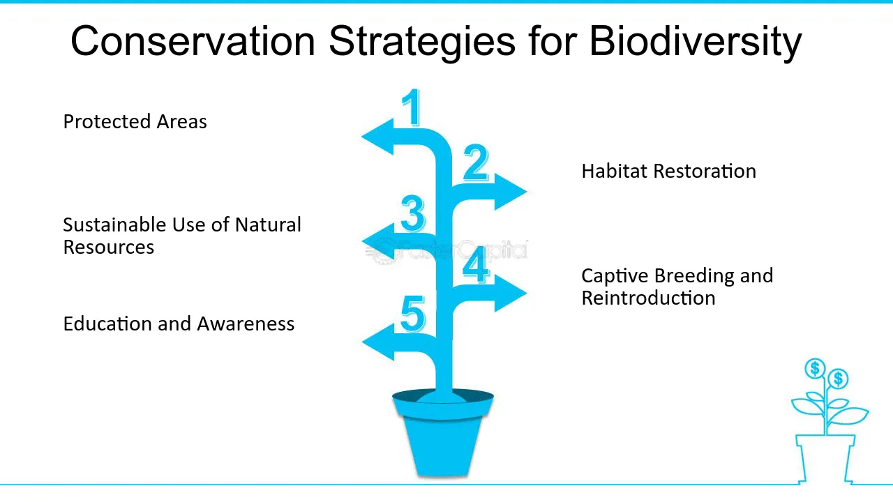 Biodiversity Conservation Strategies